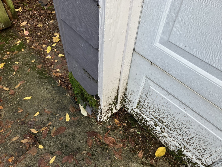 What’s Wrong with Your Siding? The Top 5 Problems Siding Contractors See